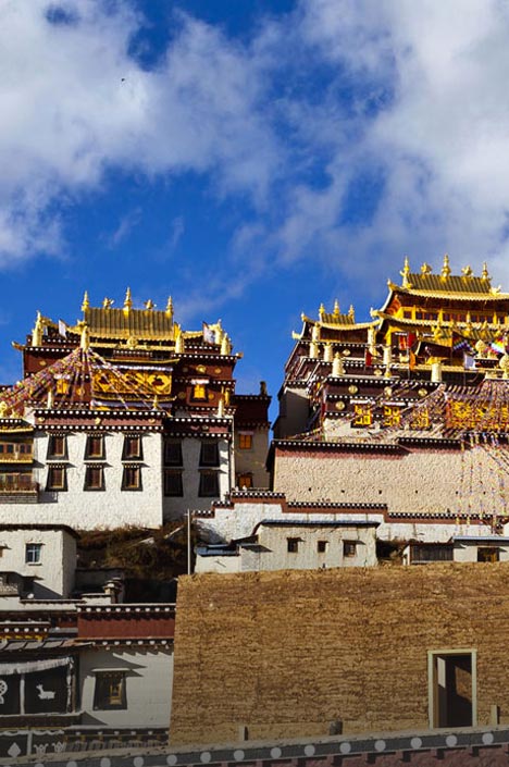 Himalayan Glacier Adventure and Travel Company - Himalayan Glacier